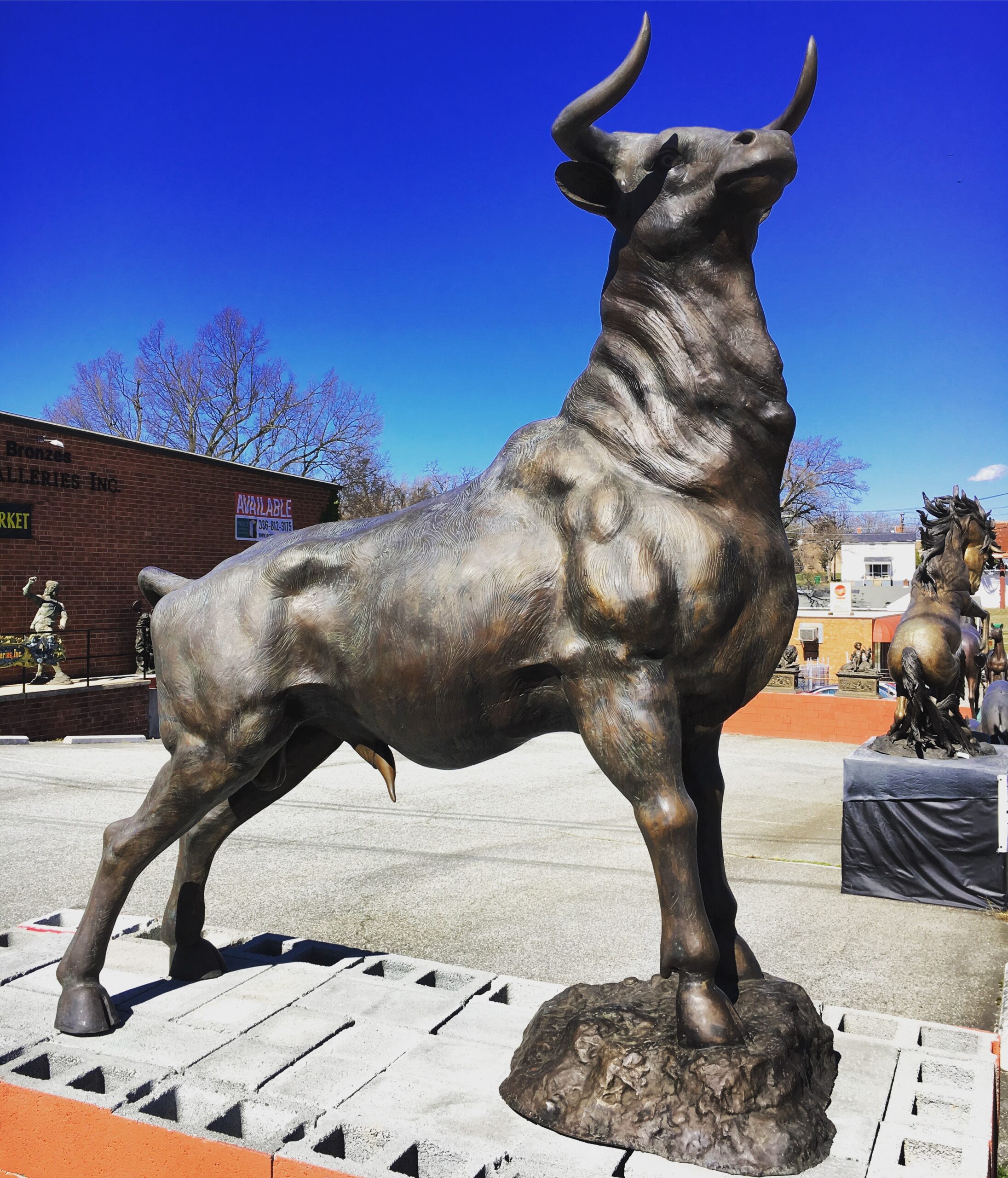 SRB992367 STANDING BULL SCULPTURE - Metropolitan Galleries Inc.