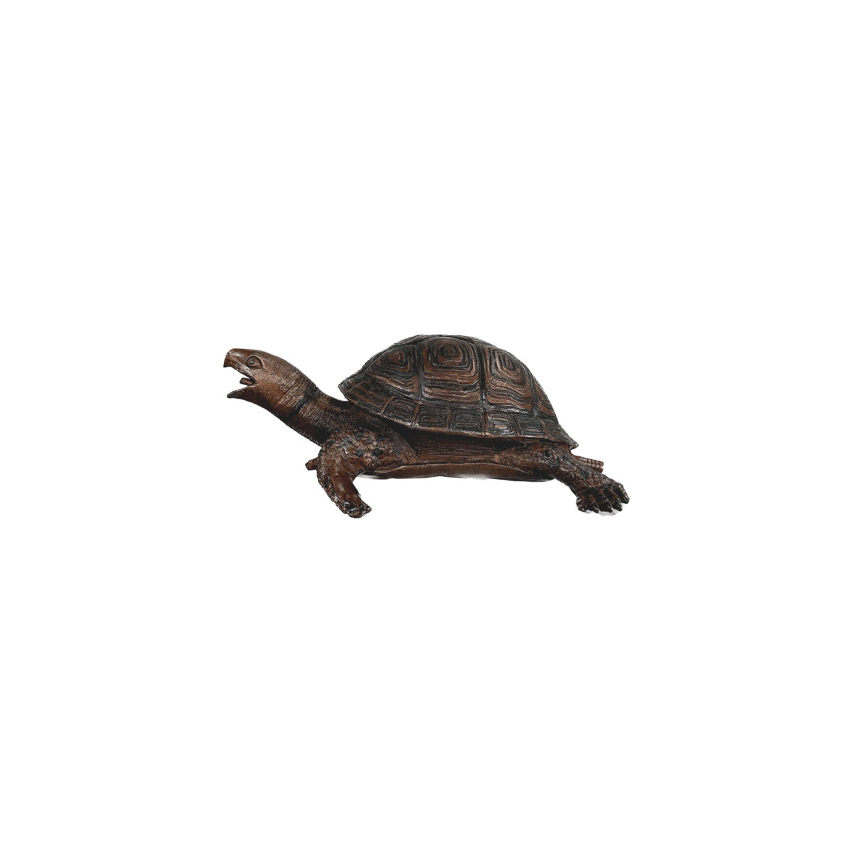 Bronze Box Turtle Fountain Sculpture - Metropolitan Galleries Inc.