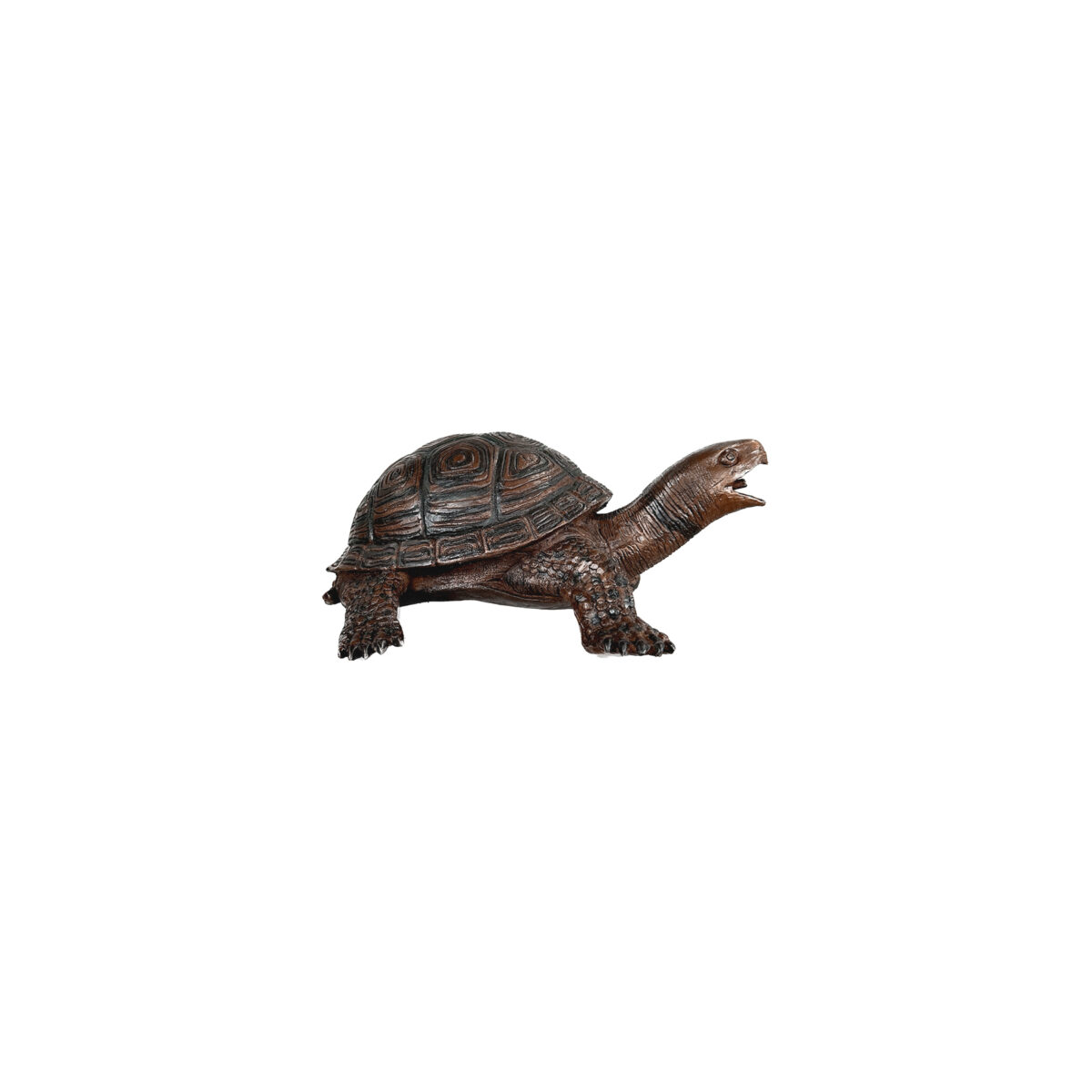 Bronze Box Turtle Fountain Sculpture - Metropolitan Galleries Inc.